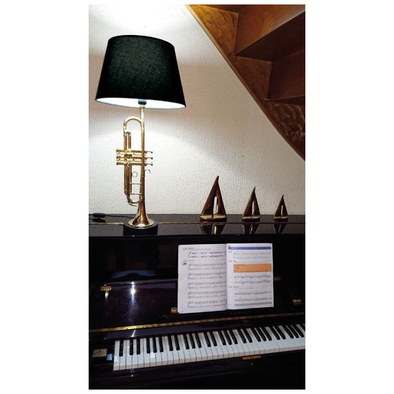 A la recherche d'un luminaire dans le thème des instrument de musique