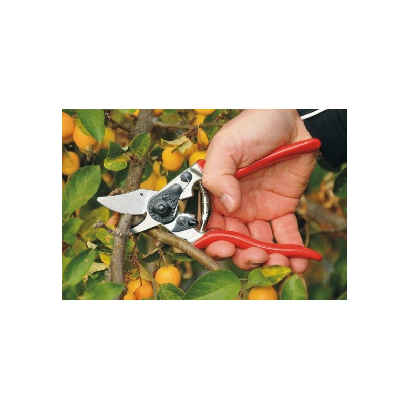 Sécateur FELCO 6 Main Moyenne